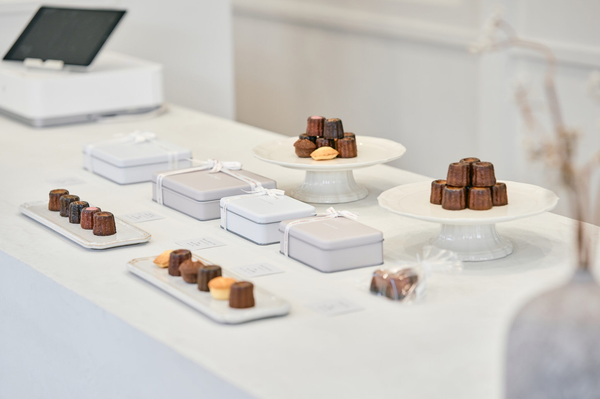 マドレーヌとフィナンシェだけじゃない！隠れ焼き菓子ヴィジタンディヌの魅力と違いを徹底解説！ - 【公式】コムパリ COMME PARIS - 田園調布プチカヌレ専門店